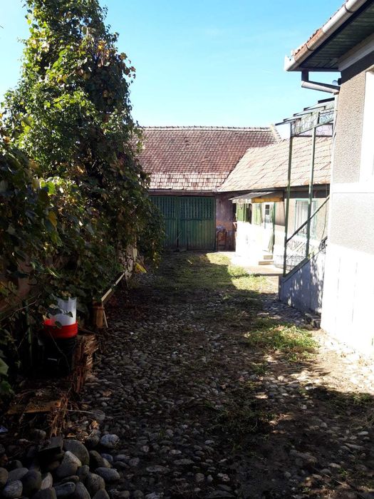 Casa de vanzare in satul Cut, judet Alba Cut • OLX.ro