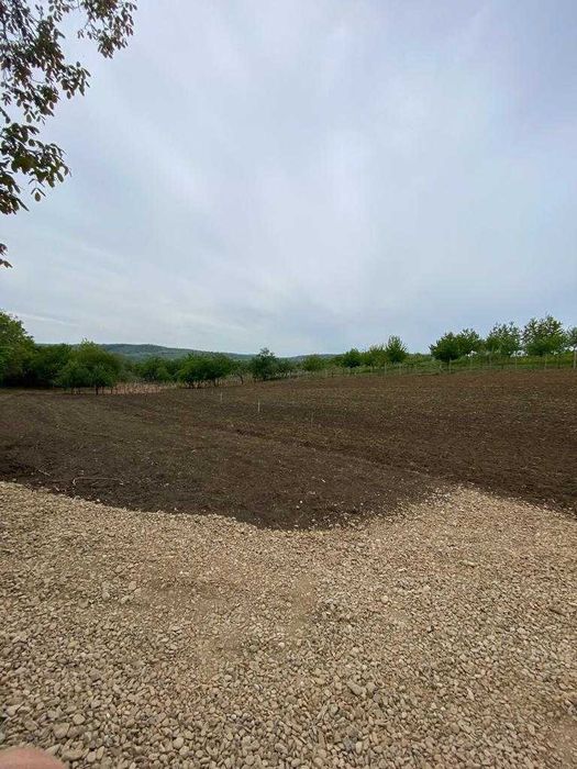 Teren Intravilan cu Priveliște Spectaculoasă în Prahova Jugureni • OLX.ro