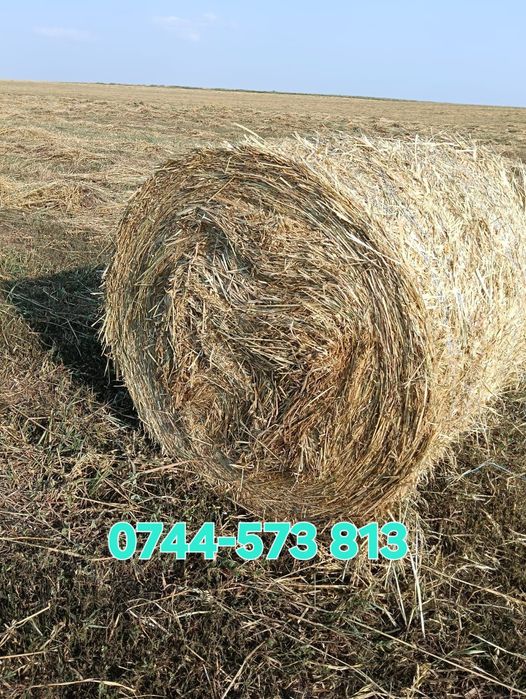 Baloti fan rotunzi 1,2x1,2 m 150 lei ridicare.Dreptunghi. la comanda ...