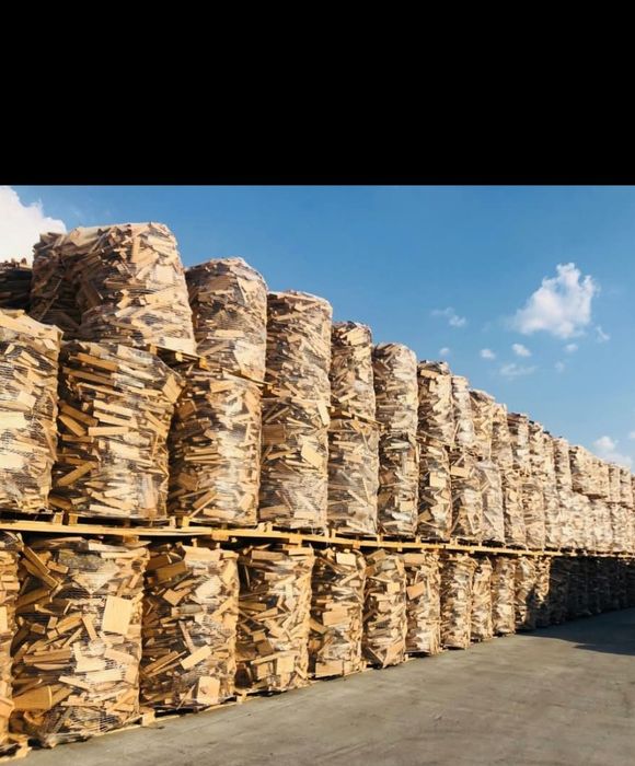 Deseuri uscate fag/ laturoaie fag Branistea • OLX.ro