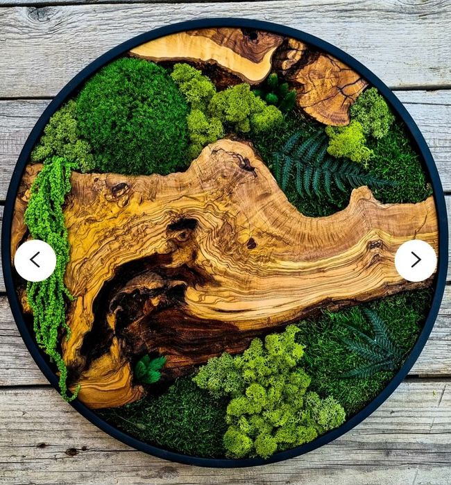 Lemn pentru diverse obiecte Alexandru cel Bun • OLX.ro