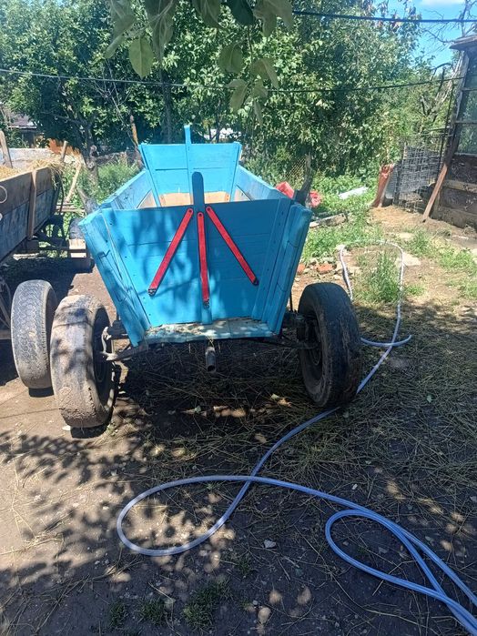 Cal cu caruta de vanzare Aiud • OLX.ro