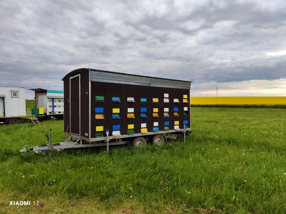 Pavilion omilogat apicol Dobarlau • OLX.ro