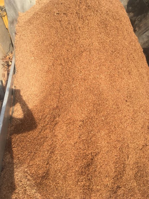 Rumegus pentru afumat fag cires cais mar Bucuresti Sectorul 2 • OLX.ro