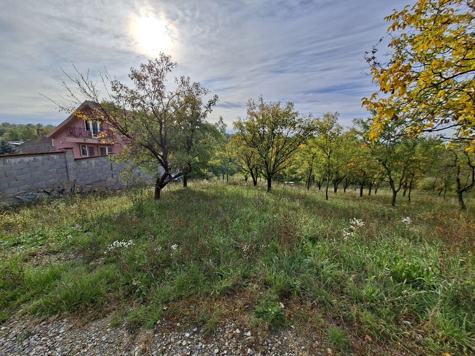 Teren intravilan strada Facliei Oradea • OLX.ro