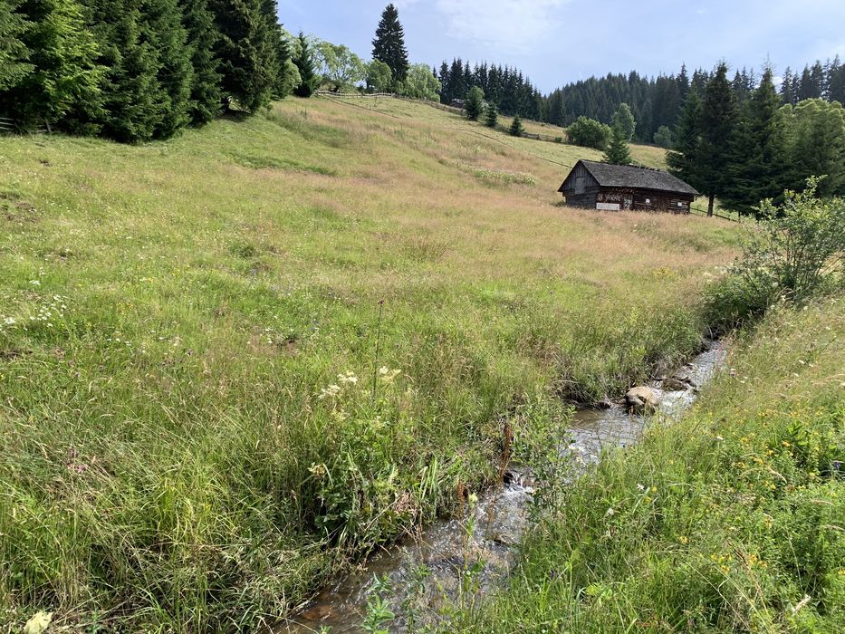Teren in Fundata - Fundatica (Valea Cheii) Brasov • OLX.ro