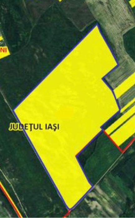 Pasune 28 hectare Movileni, Iasi Iasi • OLX.ro