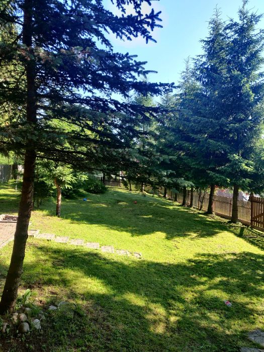 Vand/Schimb Cabana Belis Belis • OLX.ro