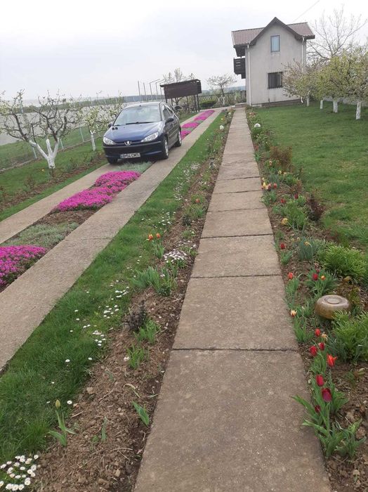 Casă de vânzare, Gruiu, Ilfov, + teren intravilan 3500 mp Gruiu • OLX.ro