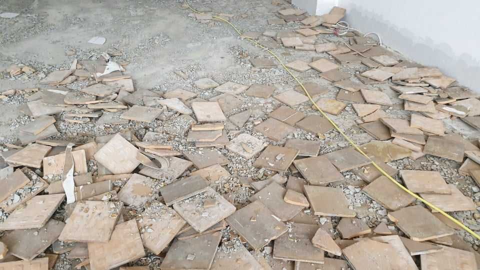 Curatenie copaci , resturi vegetale, tabla , gunoi, moluz , pamant Iasi ...