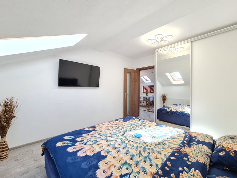 Casa cu 2 apartamente/curte privata- zona Craiter Brasov • OLX.ro