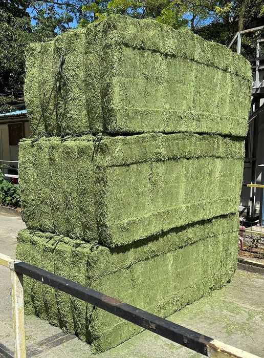 Baloti lucerna deshidratata / peleti / produse furajere Cataloi • OLX.ro