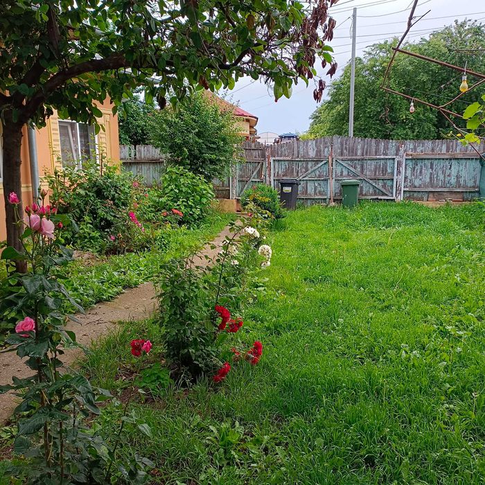 Casa - Varasti – dupa Berceni, la asfalt, 15 km de Bucuresti, 4 camere ...