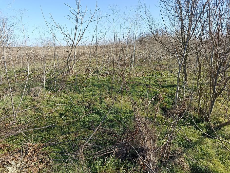 Обяви за Недвижими имоти | Топ Цени | OLX.bg