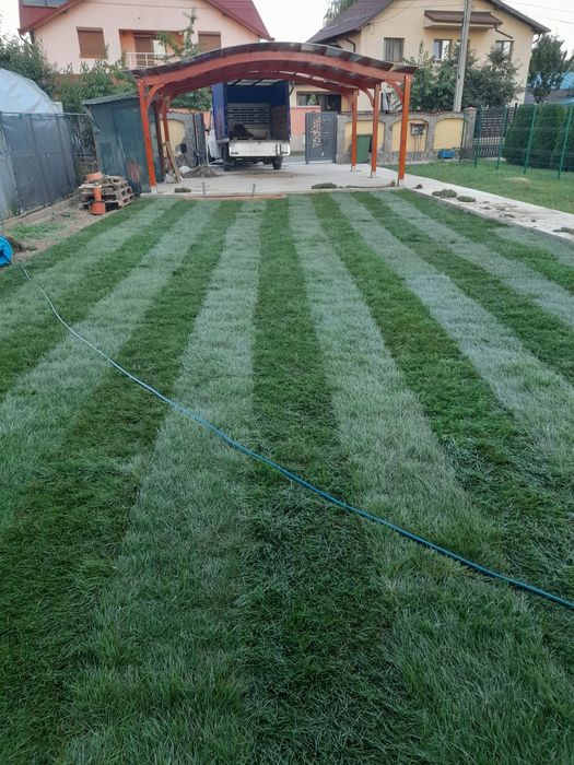 Gazon rulou Piatra naturala Grătare tradiționale tuia mesteacăn tei ...