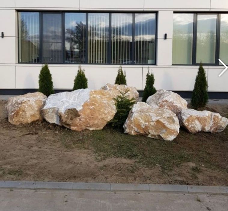 Bolovani ornamentali pentru amenajări grădini sau decor Voluntari • OLX.ro