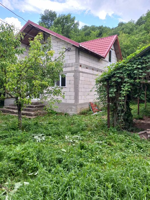 Vând casa la tara Slatina • OLX.ro