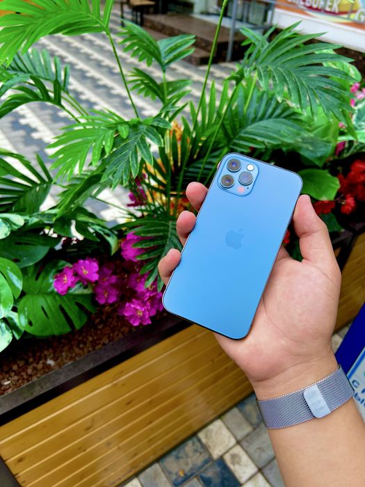 Iphone12pro iphone 12 pro: 150 у.е. - Мобильные телефоны Ташкент на Olx