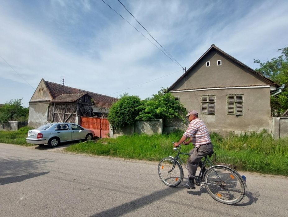 Casa in Stanciova Timis Timisoara • OLX.ro