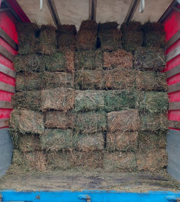 Vând Baloti lucerna Mihail Kogalniceanu • OLX.ro