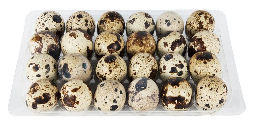 Oua de prepelite Hoceni • OLX.ro