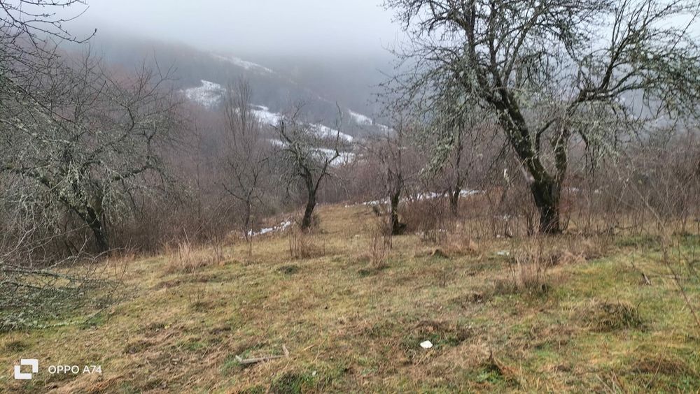 Casa de vânzare munții Apuseni Blajeni • OLX.ro