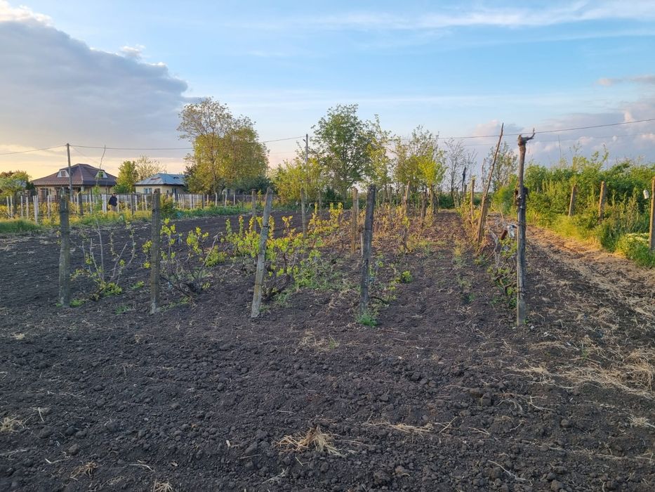 Casă de vânzare Hanu Conachi • OLX.ro