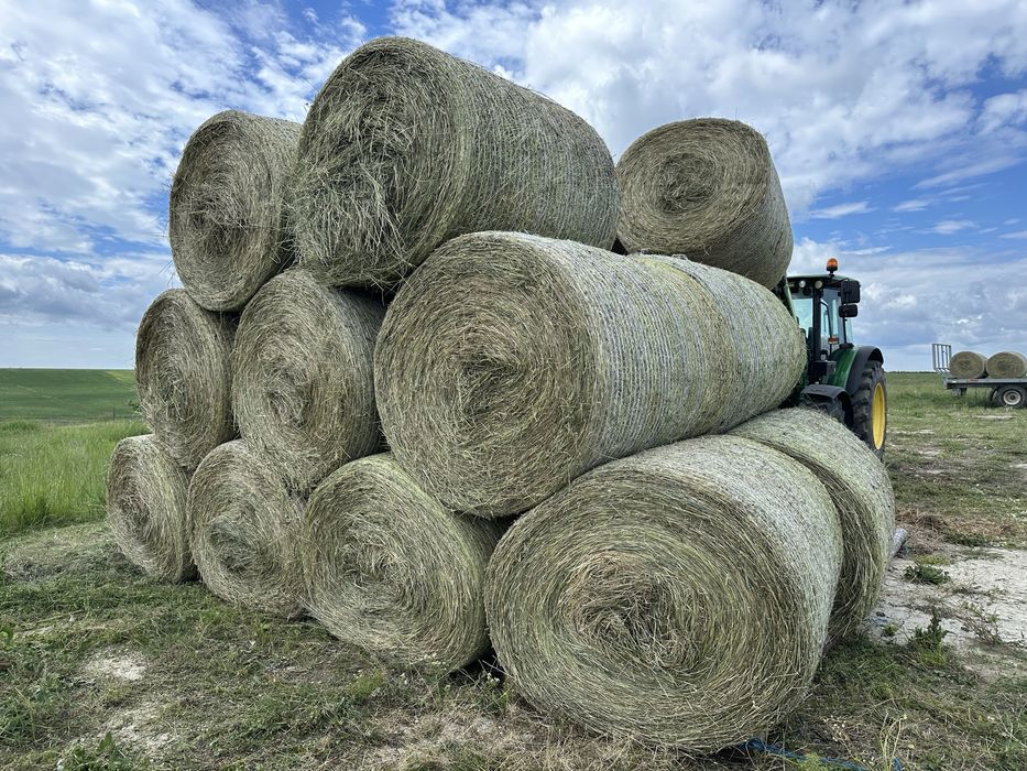 Baloti lucerna 2025 Brabova • OLX.ro