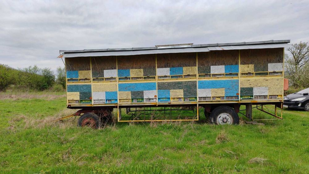 Pavilion apicol de vanzare Dobra • OLX.ro