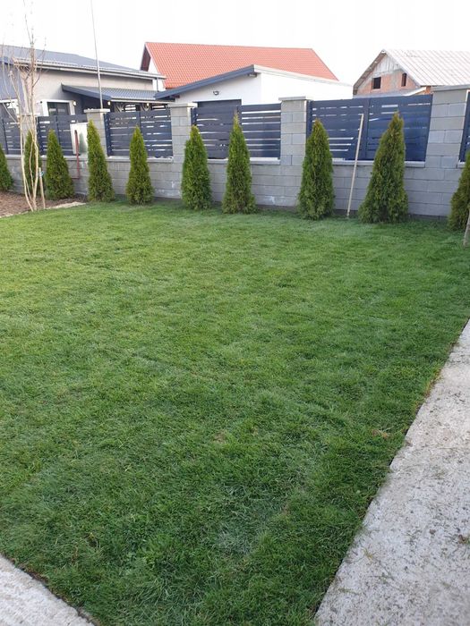 Gazon Instant –Soluția Rapidă pentru o Grădină Perfectă+Alei cu Piatră ...