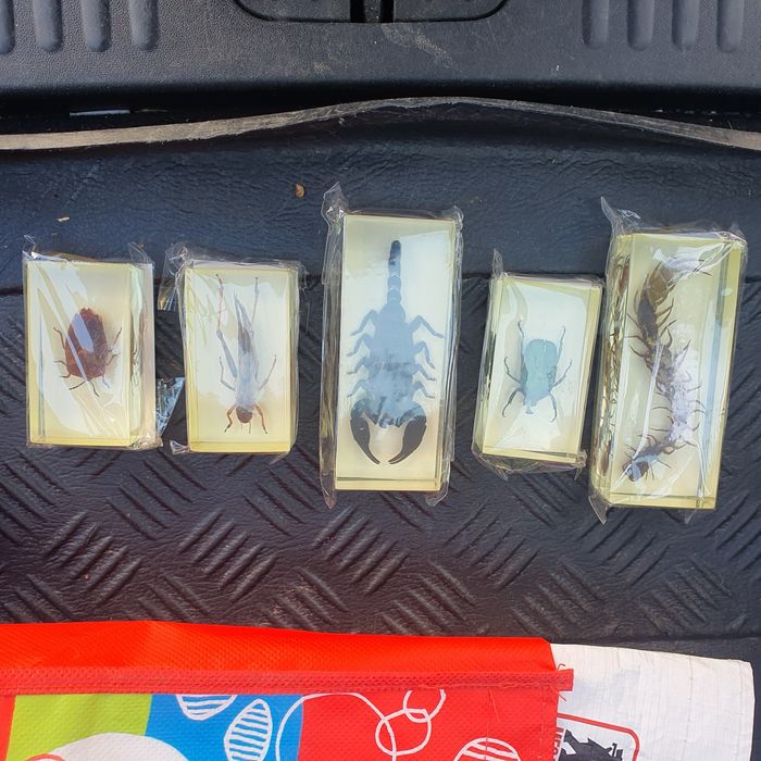 Insecte în rășină Bucuresti Sectorul 6 • OLX.ro