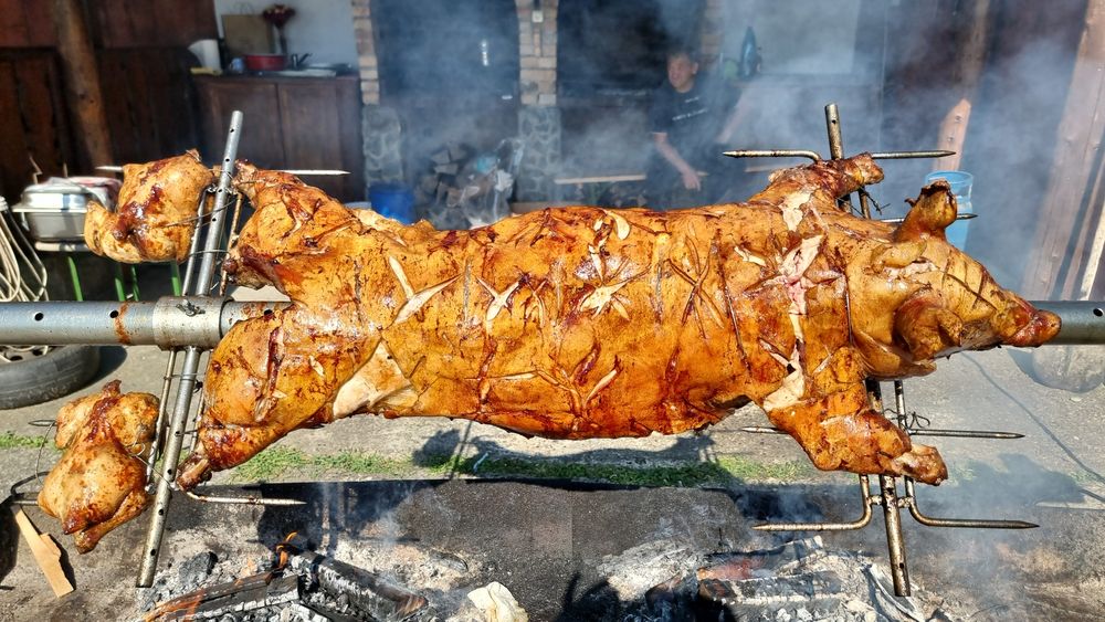 Protap rotisor porc vitel miel , nunti botezuri evenimente Constanta ...