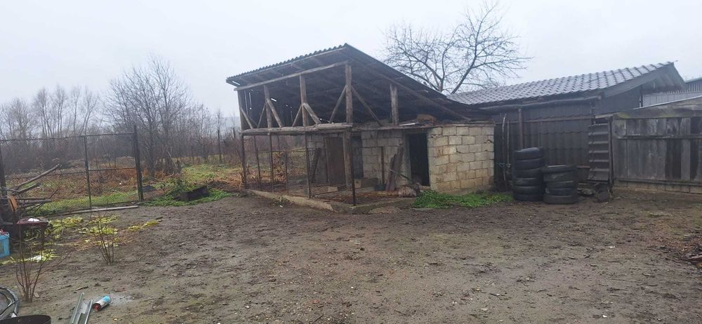 Casa Neamț, com Bodești Bodesti • OLX.ro