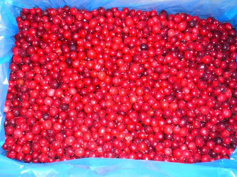 Клюква садовая замороженная: 2 400 тг. - Продукты питания / напитки ...