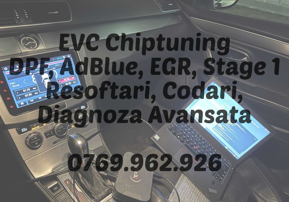 Diagnoza Resoftari AdBlue, Dpf, Egr, Anulare Immo, Chiptuning, DTC ...