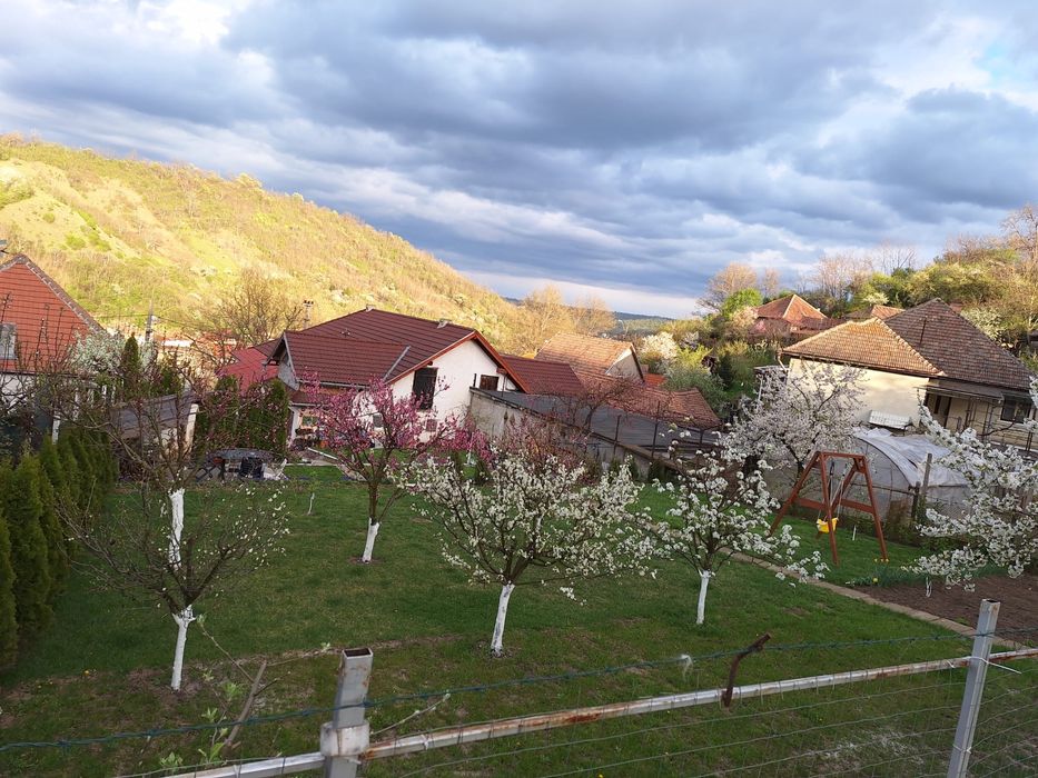 Casa de vânzare Strugurilor Medias • OLX.ro