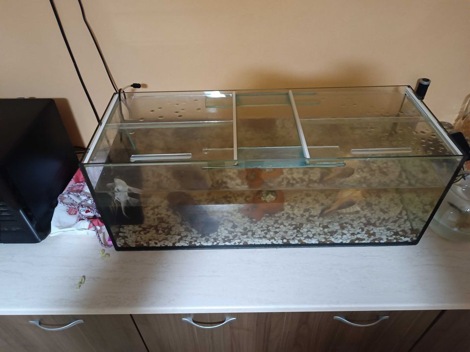 Аквариум 80 литра гр. Тутракан • OLX.bg