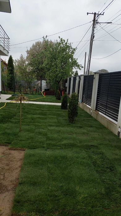 Amenajez Gradini cu : Gratar Personalizabil, Gazon, Plante , Piatra ...