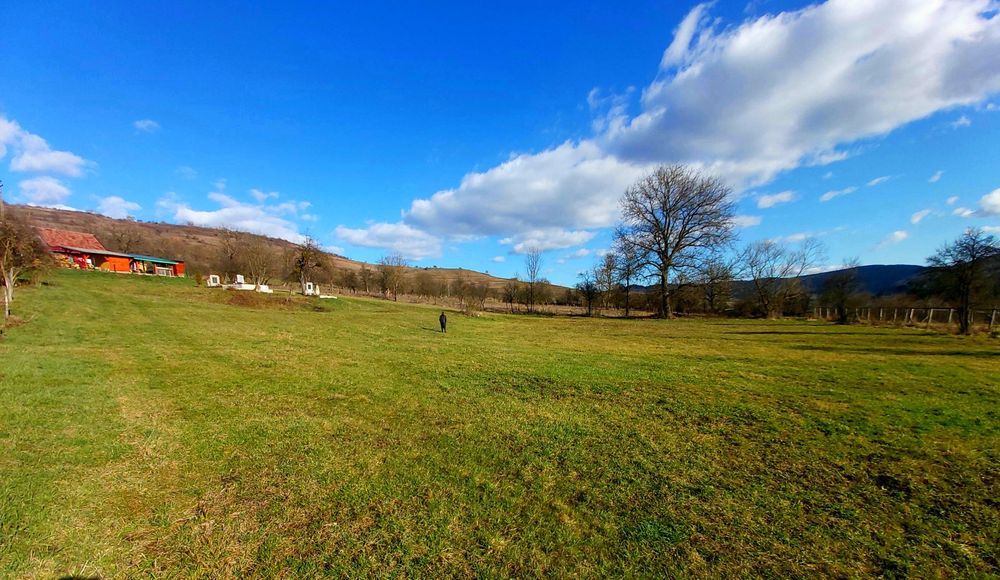 Teren intravilan Bezid(jud.Mures) Sangeorgiu de Padure • OLX.ro