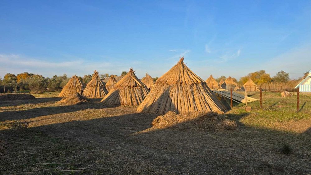 Stuf pentru orice proiect de acoperis, terase, foisoare, umbrele plaja ...