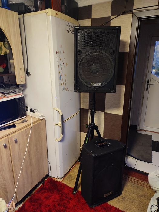 Vând 2 boxe pasive pe 15 inchi EV Pitesti • OLX.ro