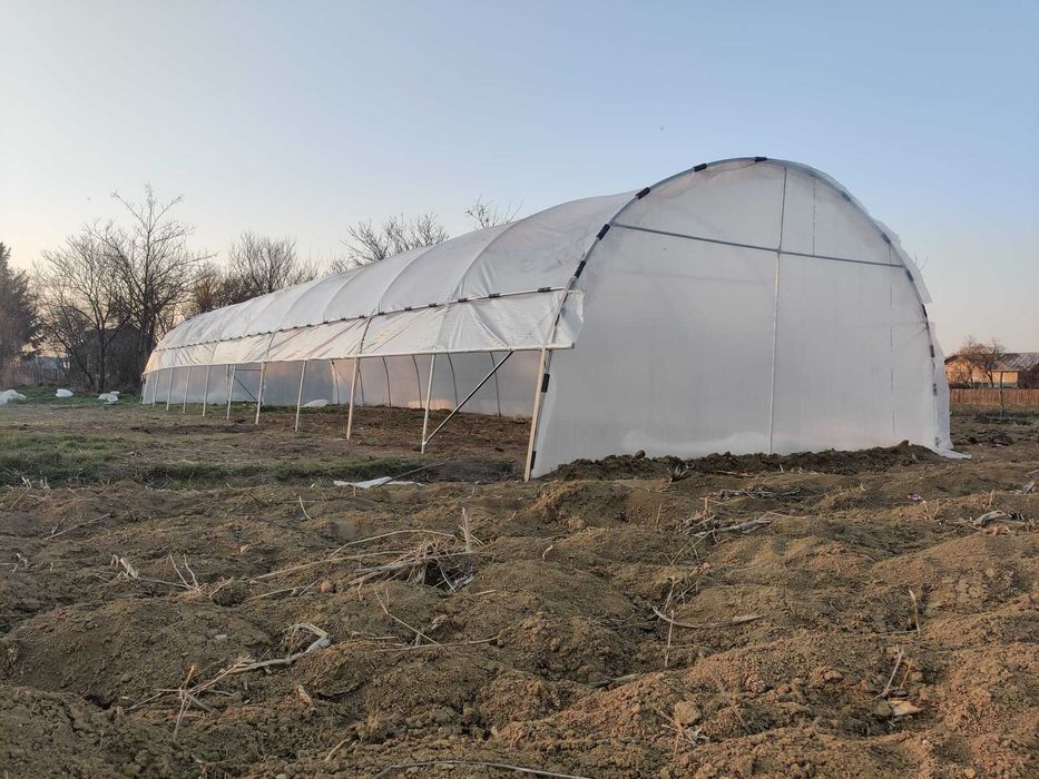 Solar legume profesional, complet echipat. Solar gradina. solarii ...