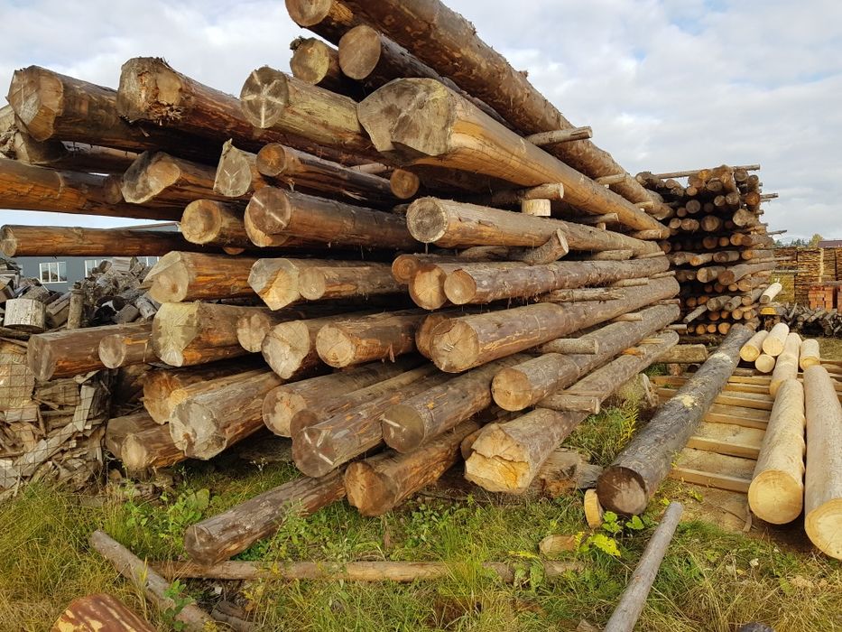 Case bustean cabane (bile ) mobilier de gradina Poiana Stampei • OLX.ro