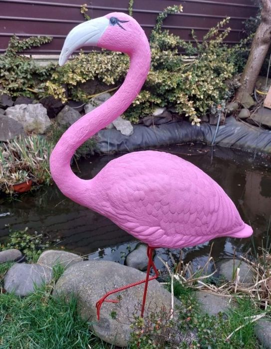 Berze și lebede pentru gradina Ploiestiori • OLX.ro