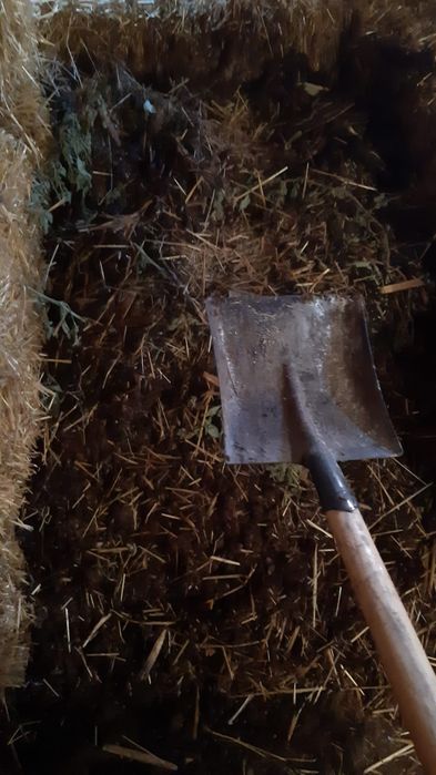 Râme de compost, ferma de râme, explicit pentru compostare Cluj-Napoca ...