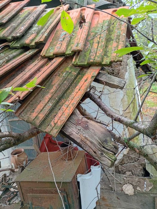 Donez tigla pentru acoperis Mozacu • OLX.ro