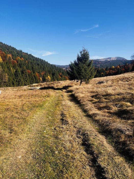 Teren de vanzare 1500/5000 mp Baraj Dragan - catun Alunu Lunca ...