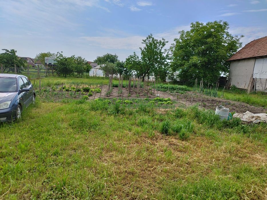 Vind teren pentru constructia unei locuinte Mihai Viteazu • OLX.ro