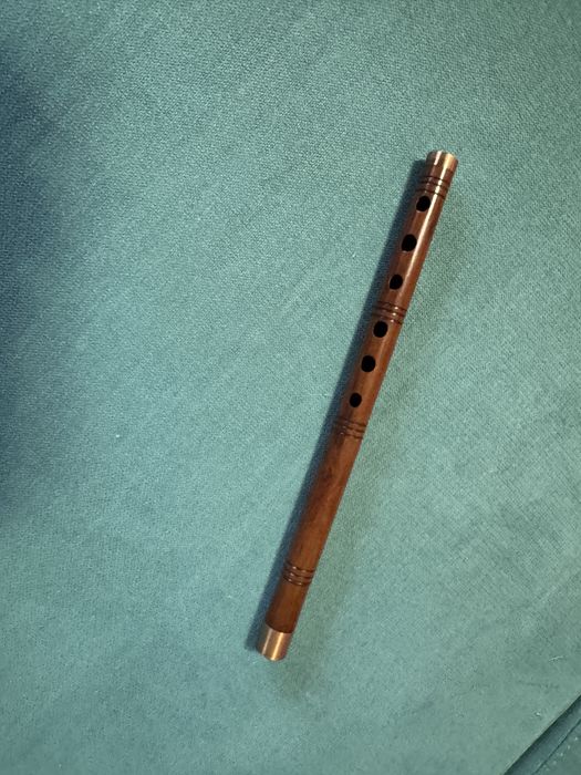 Fluier profesional Targu Jiu • OLX.ro