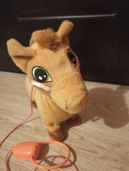 Ponei Noriel din plus care merge Ploiesti • OLX.ro